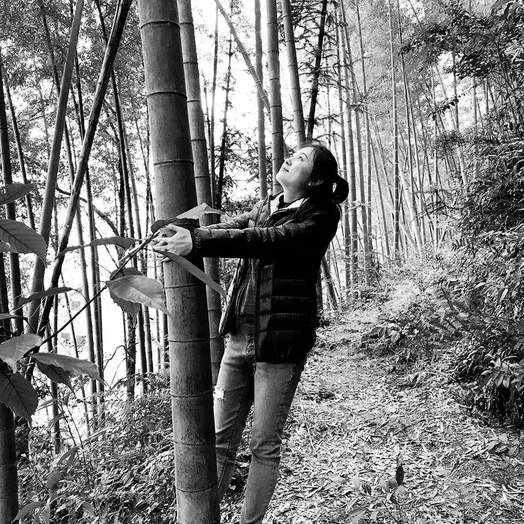 Über Dasso – dasso