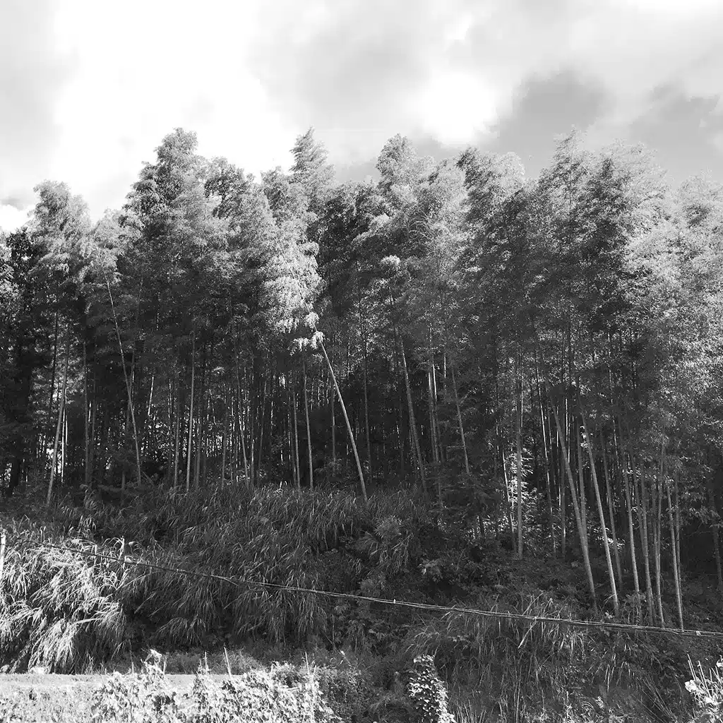 Über Dasso – dasso